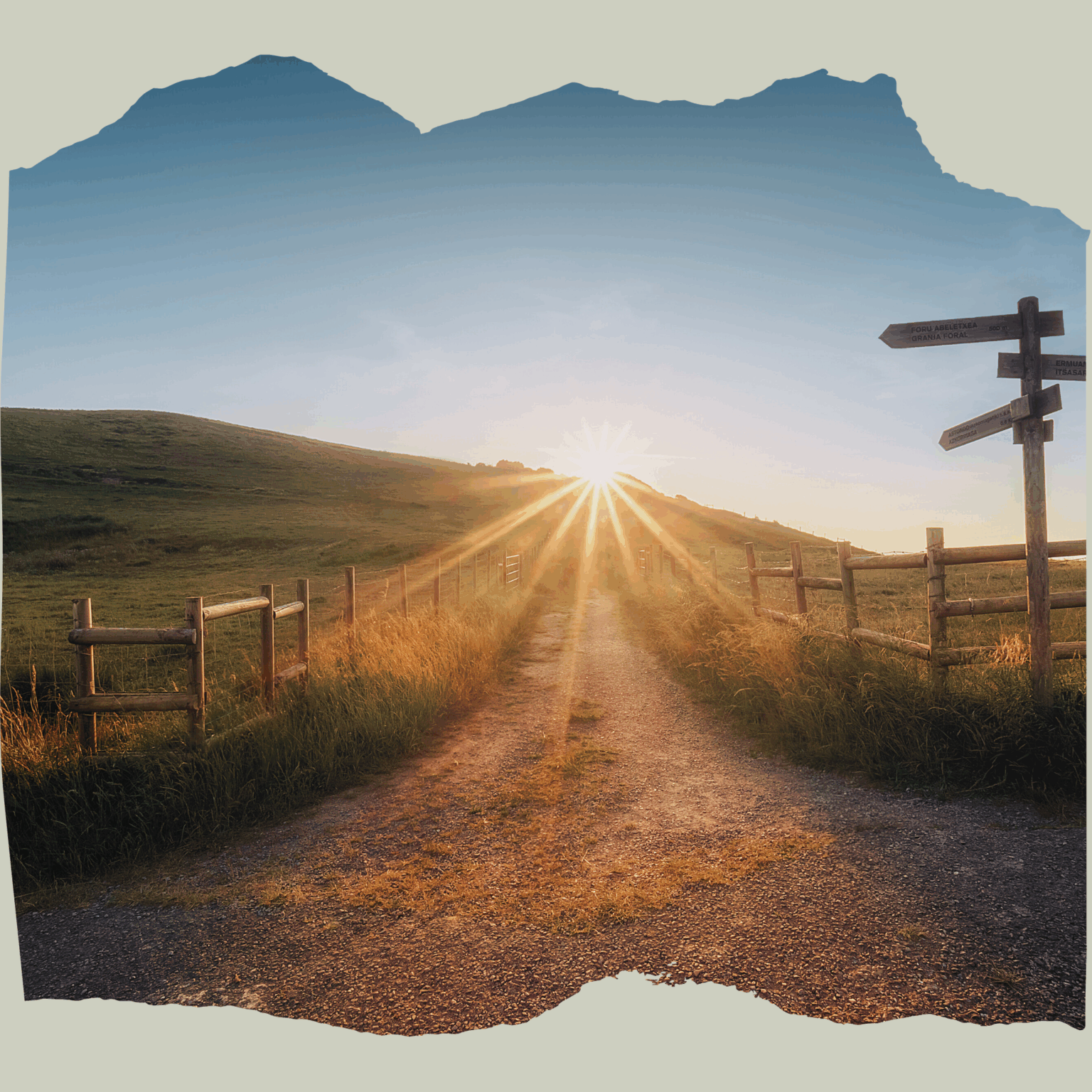 Emotional Landscapes - Dochako Designs